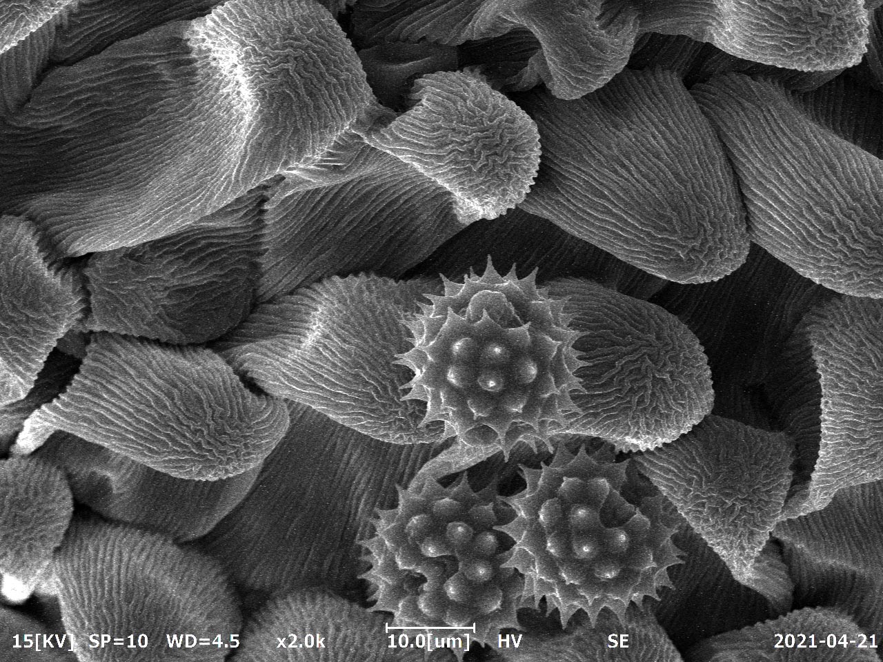 Produits Archive - Scientec